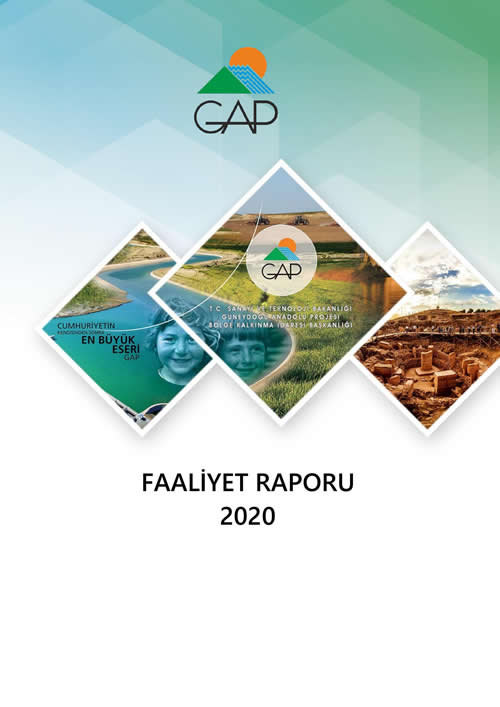 2020 Yılı Faaliyet Raporu